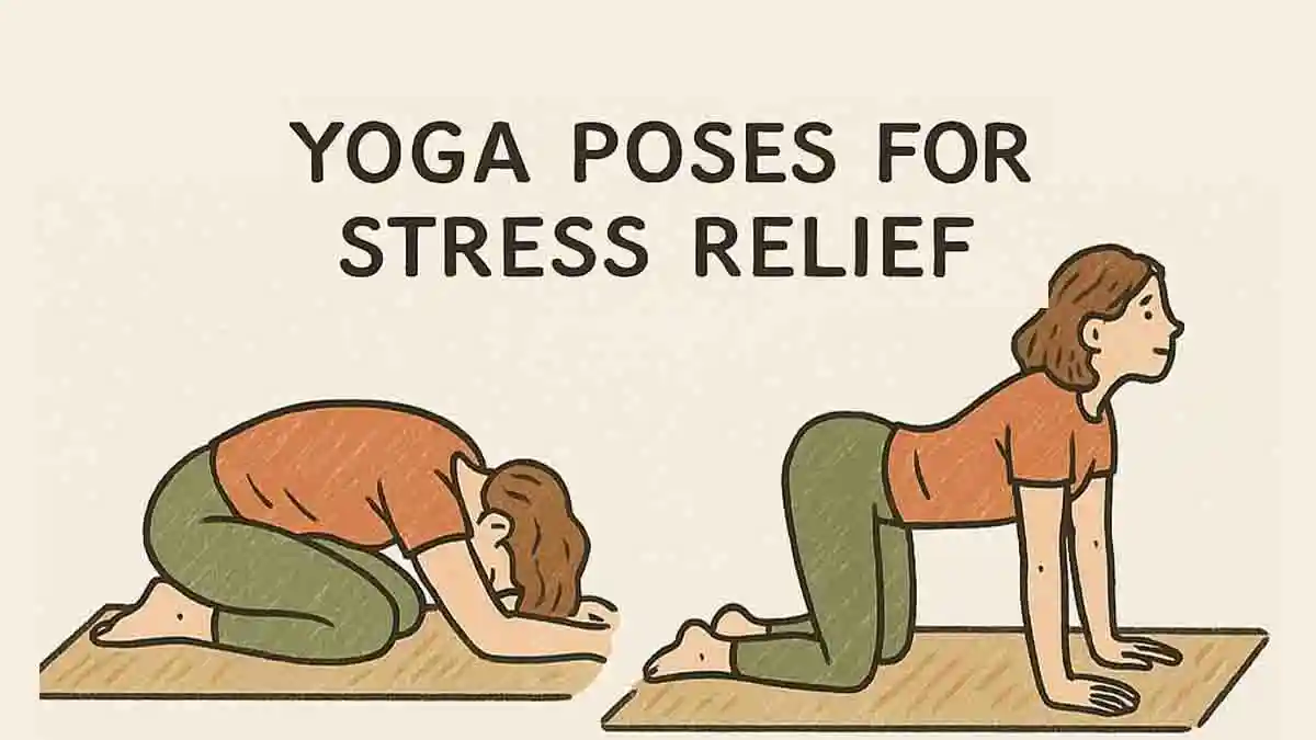 Best Yoga Poses for Stress Relief: Relax Your Mind & Body